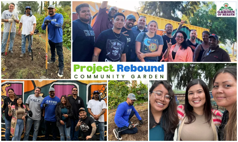 Project Rebound | CSUSB